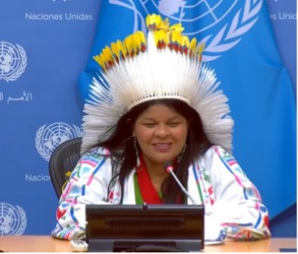 Indigenous Peoples Health, Planet, Climate: A Rights Based Approach ...